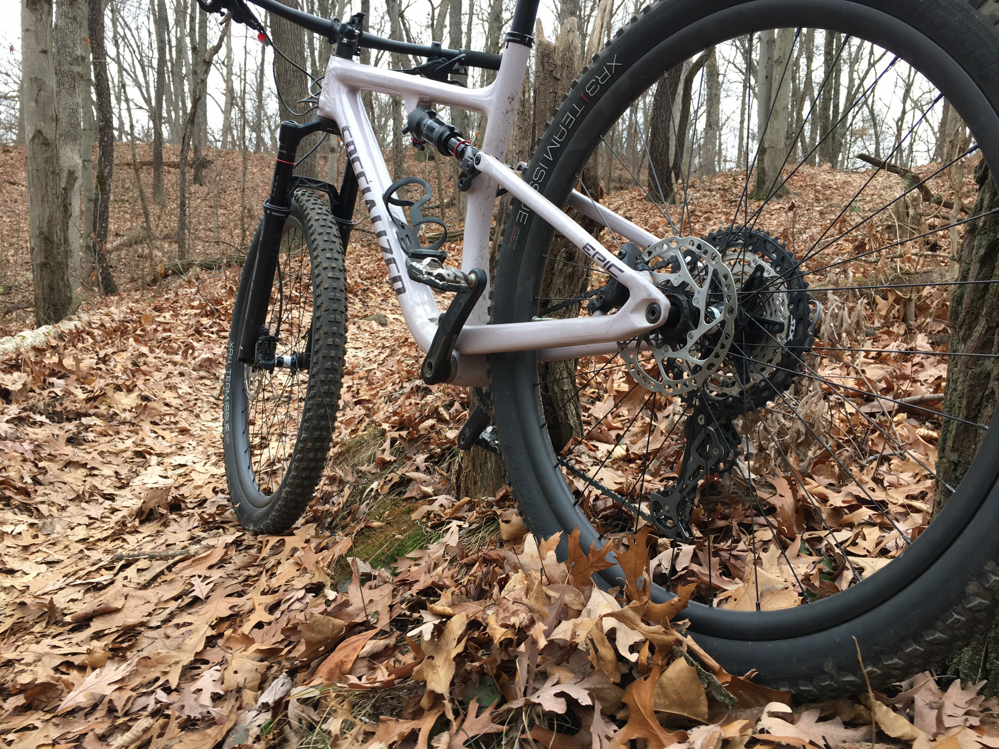 WM-i29A with DT350 hub and Sapim Race spokes - BTLOS Gallery